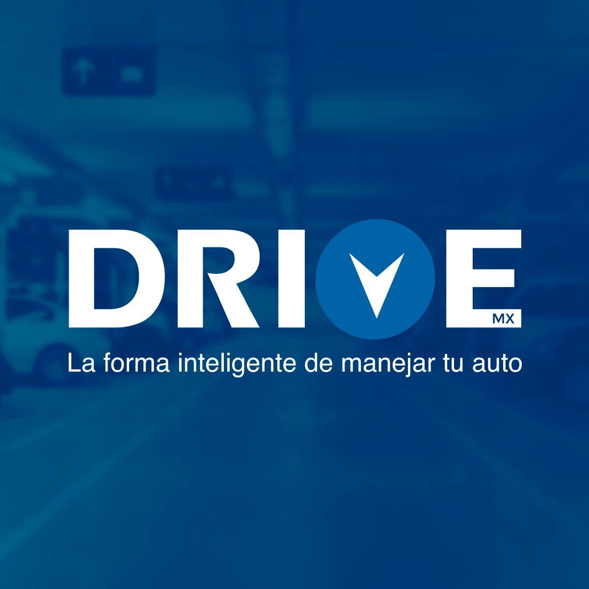 IT-Professional Services-Solutions - oodoo